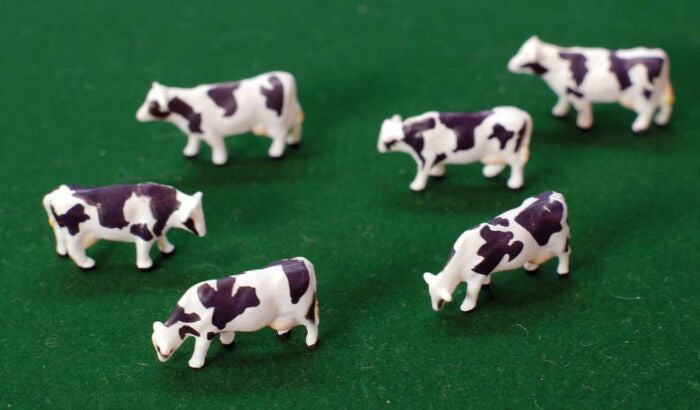 N Scale Cattle (TTC266075) – Nankin Hobby